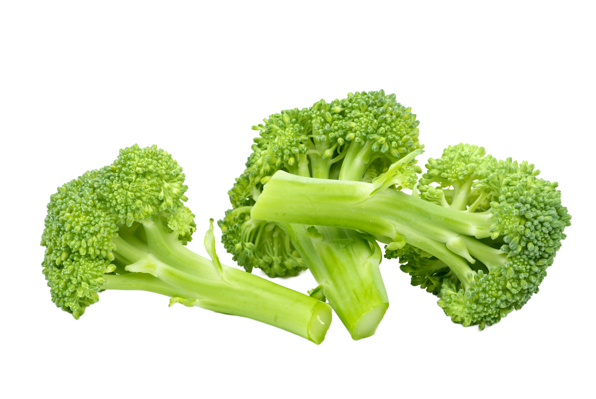 NOODL Montreal - Korean Instant Ramen Bar | Buldak, Shin, Samyang & More